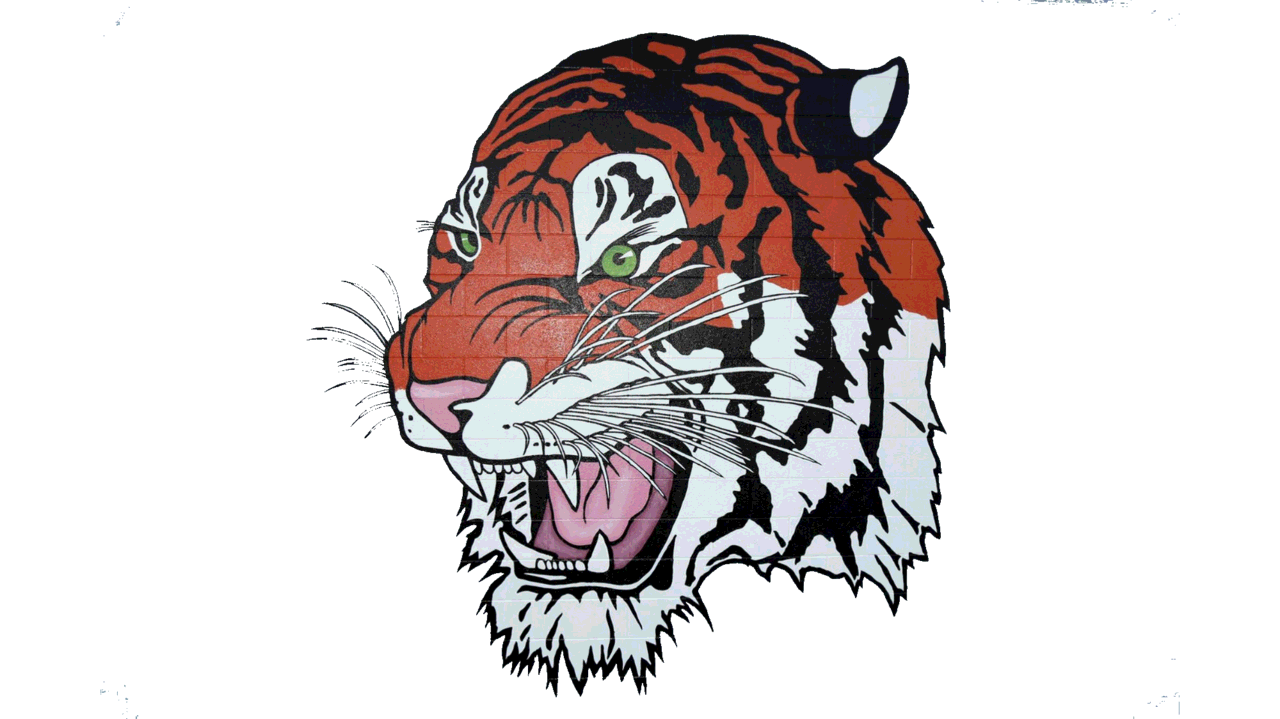 The Ardmore Tigers - ScoreStream