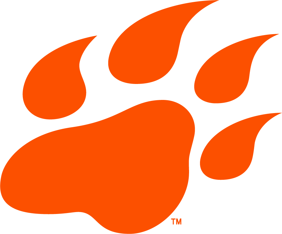 Sam Houston State University Mascot