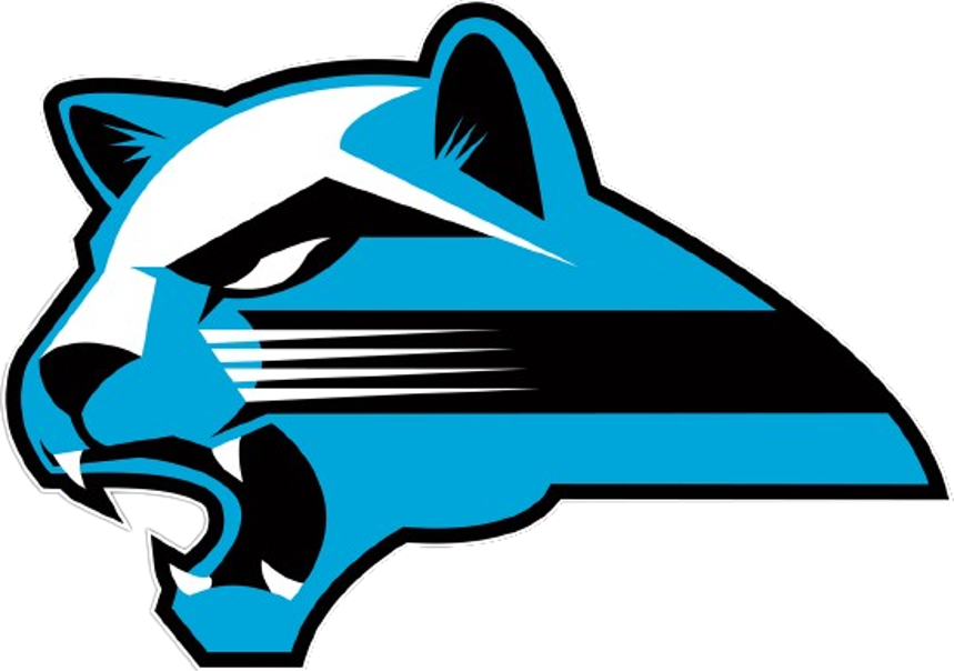 The Kalamazoo Valley Cougars - ScoreStream