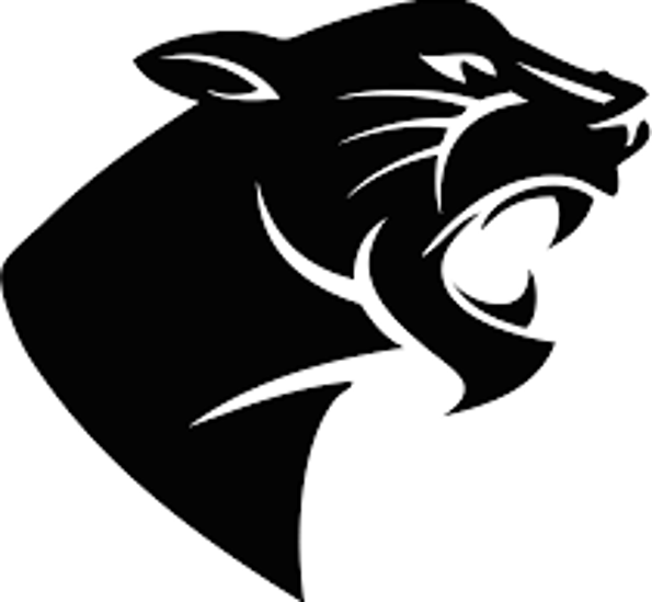 The Passaic Panthers - ScoreStream