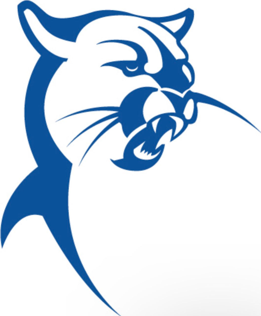 The Collin Cougars - ScoreStream