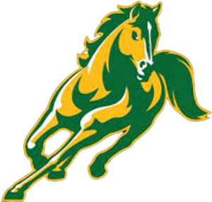 The ABAC Stallions - ScoreStream