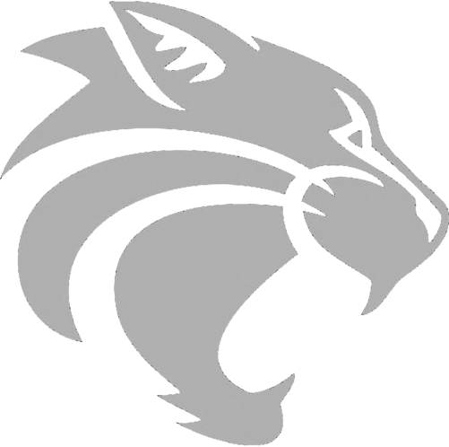 David City Aquinas Mascot