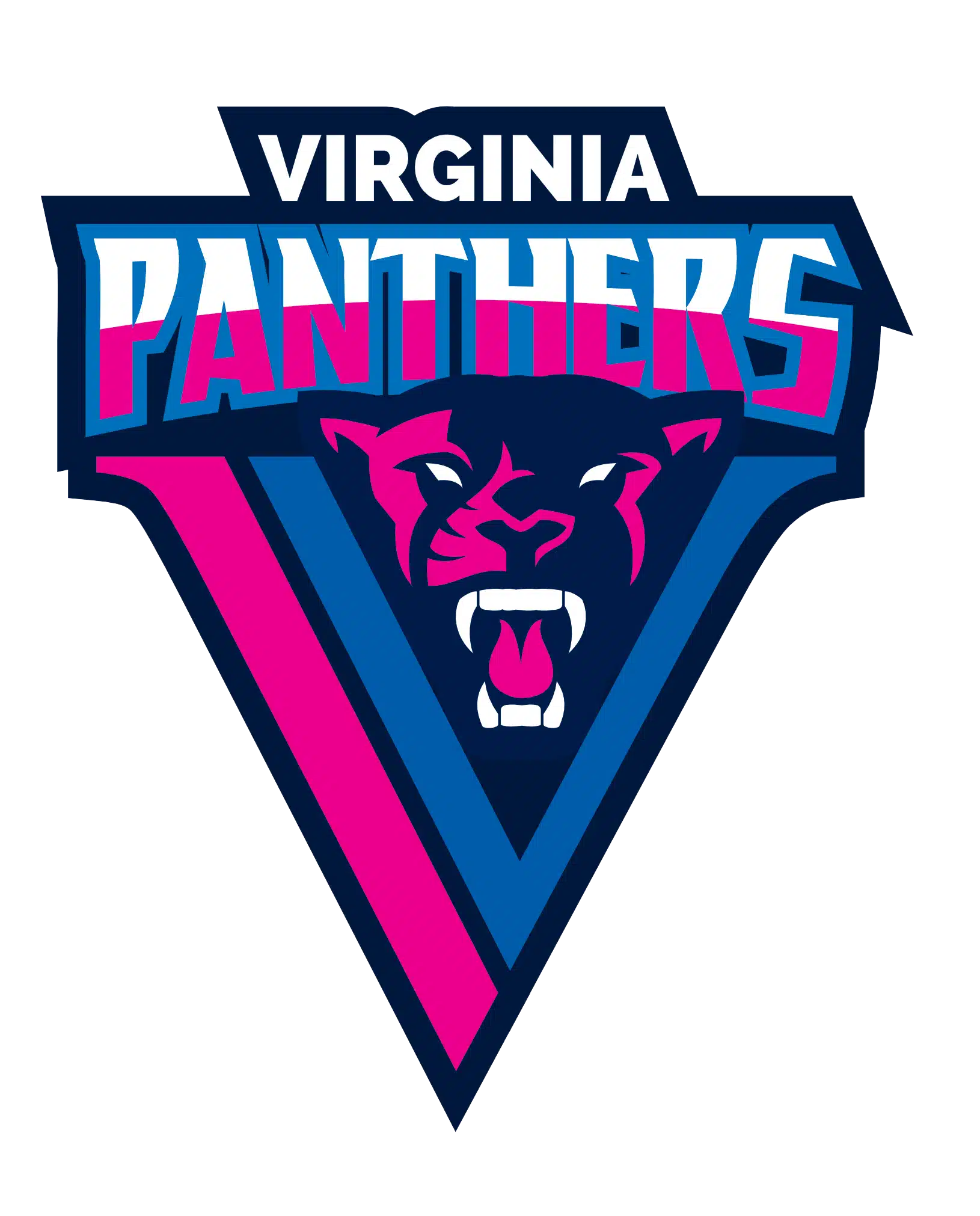 Panthers Football Logo