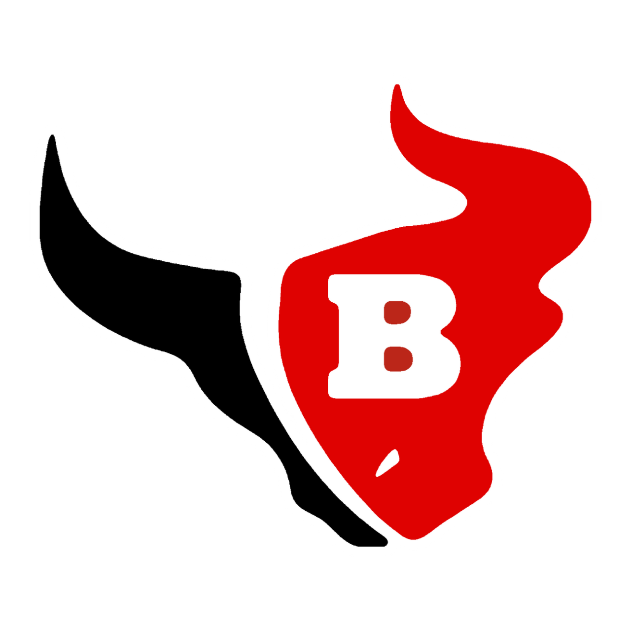 The Bloomingdale Bulls - ScoreStream