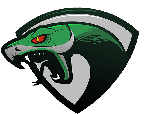 The Varela Vipers - ScoreStream