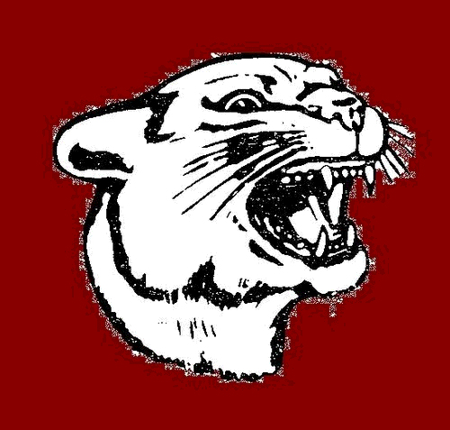 The South Decatur Cougars - ScoreStream