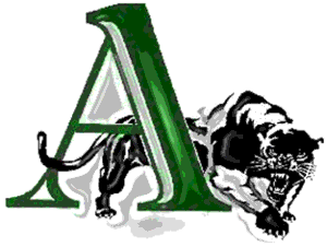 The Amphitheater Panthers - ScoreStream