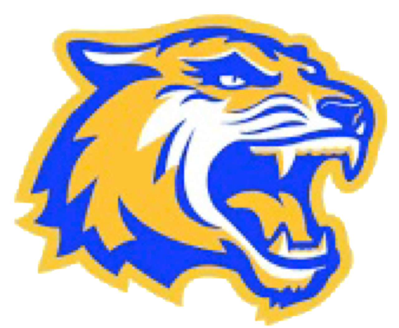 The Bay Tigers - ScoreStream