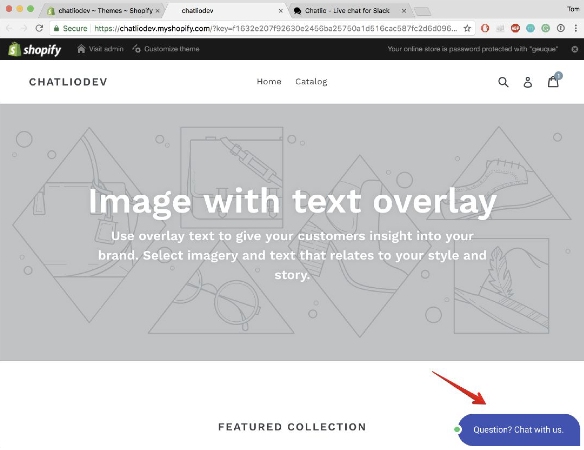Install Chatlio on Shopify - Chatlio