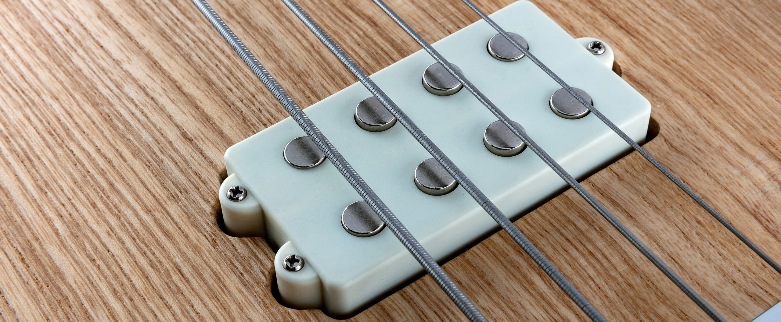 Joe Dart | Basses | Ernie Ball Music Man