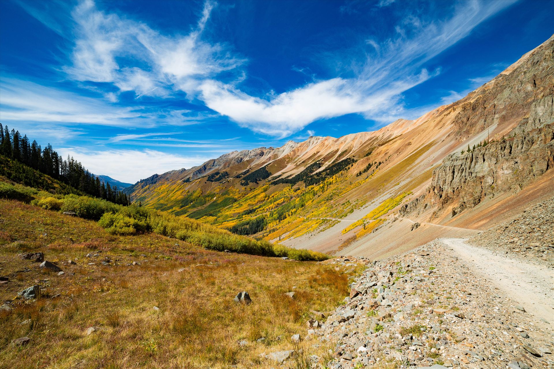Ophir Pass 2 | Fall Color Photography | Scott Smith Photography