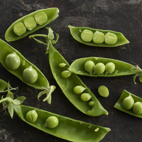 Spring Peas (still)