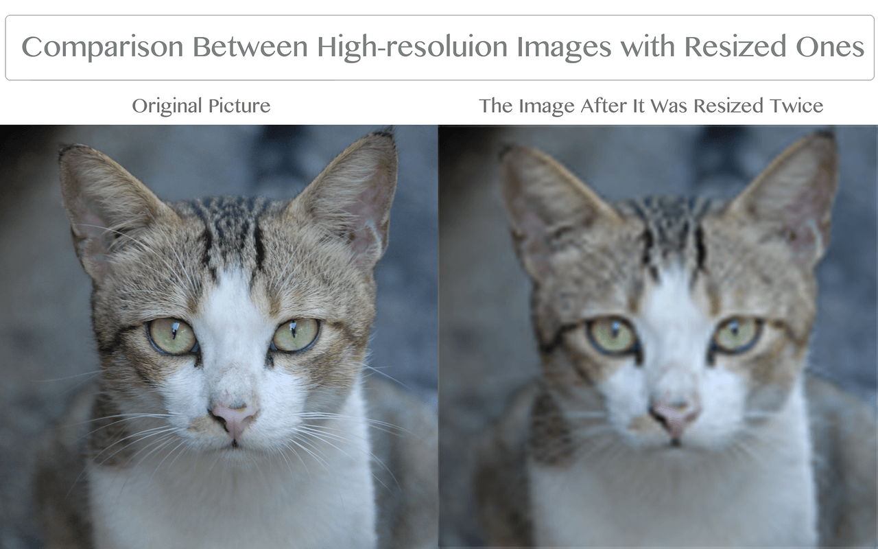 Resizing Images in Photoshop and Canvas Tutorial | Sweet Drawing Blog