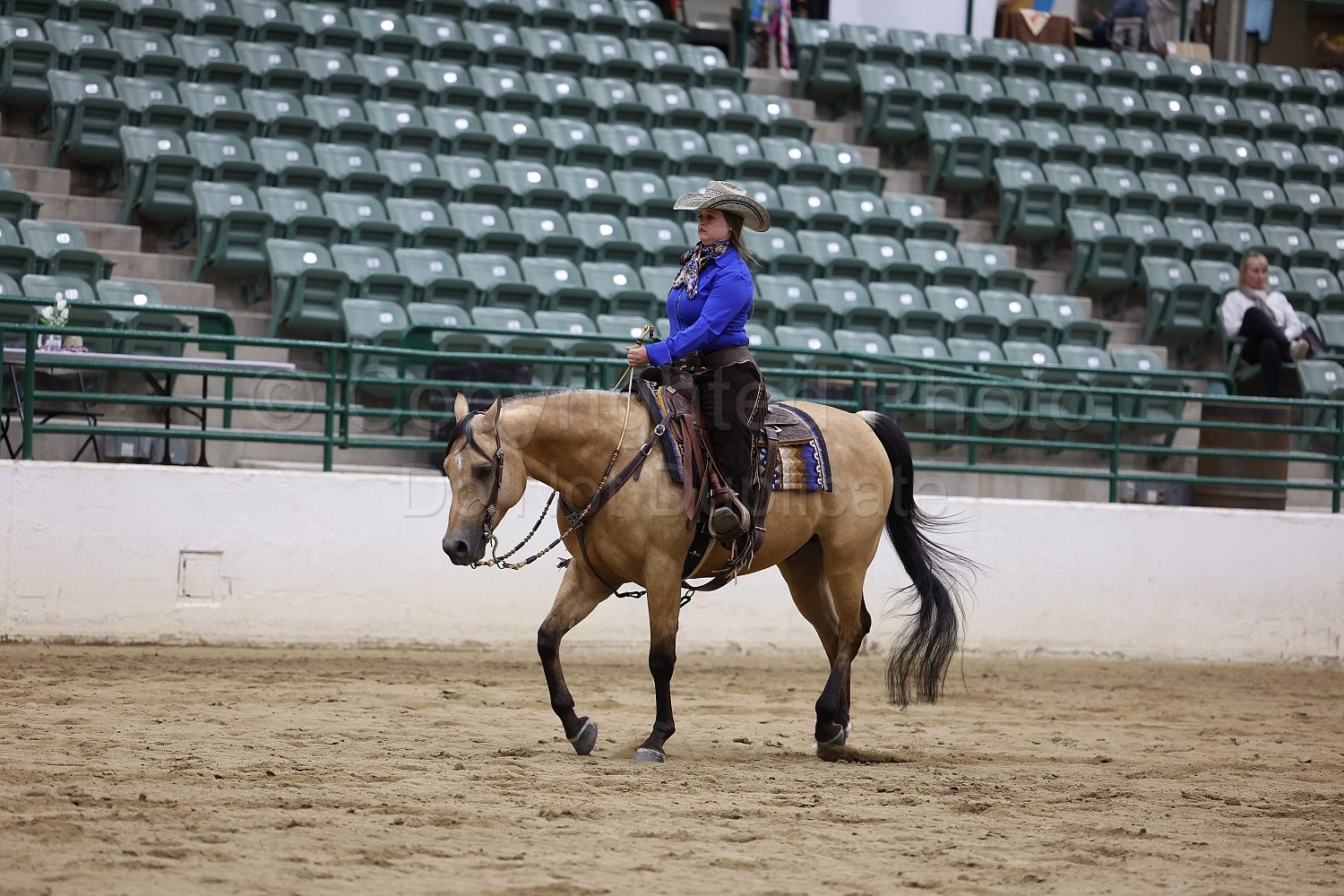 Class 281 Reg III HA/AA RANCH RAIL PLEASURE CHAMPIONSHIP - 2023 Region ...