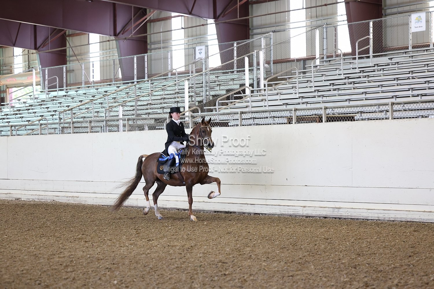 0140 HA Arabian Show Hack ATR - 2024 AHANC & Pacific Slope Championship ...