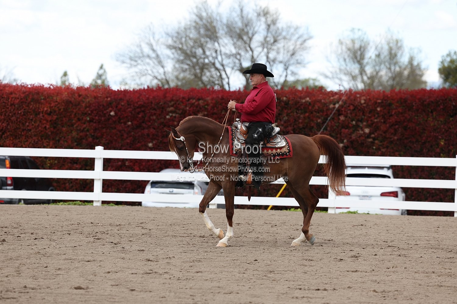 Class 162 Arabian Western Pleasure Championship Geldings - 2024 Golden ...