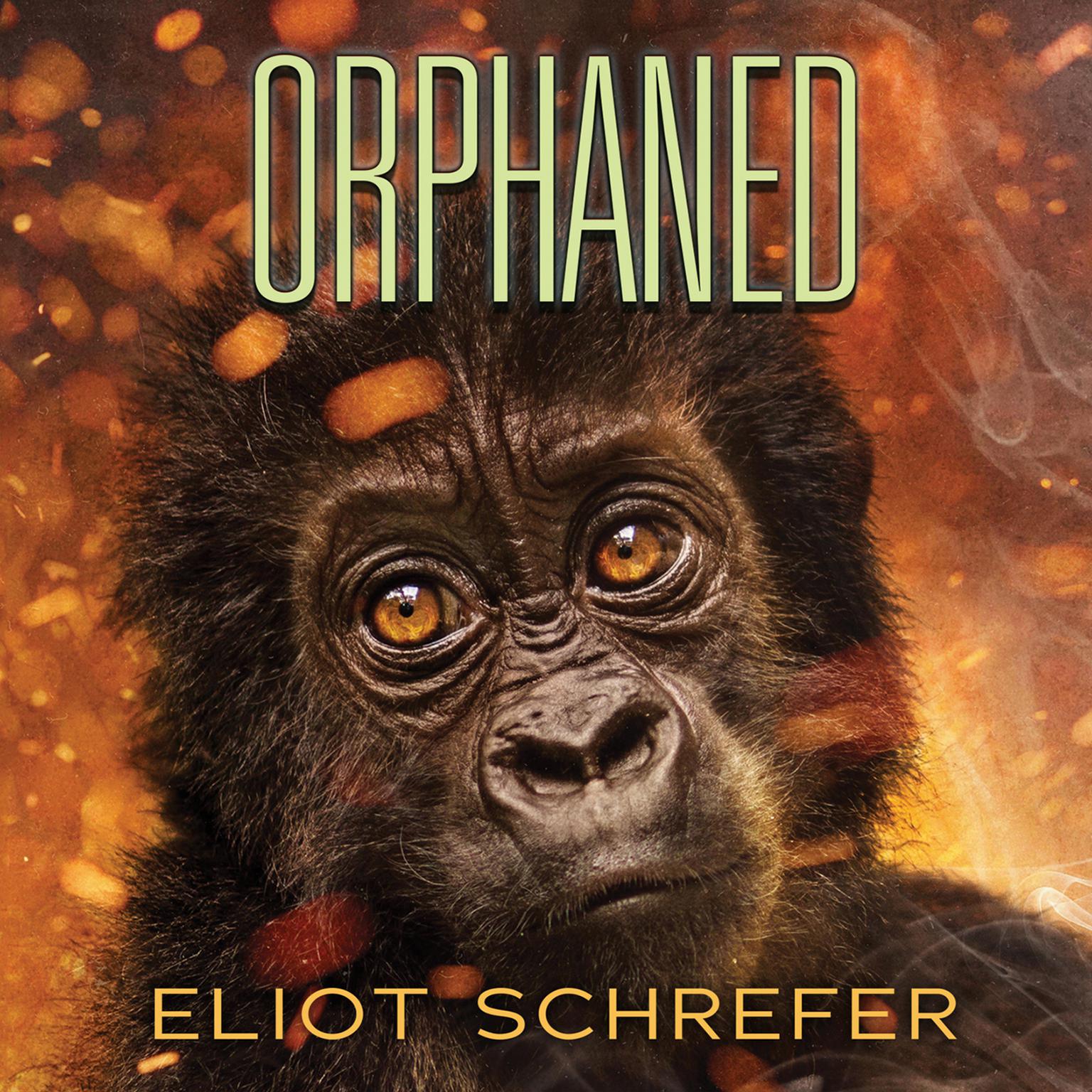 Orphaned - Audiobook | Listen Instantly!