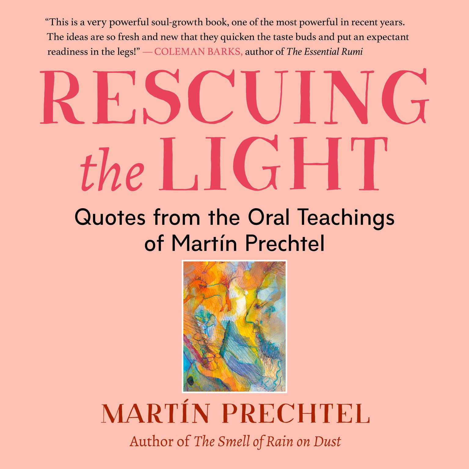 Rescuing the Light - Audiobook | Listen Instantly!