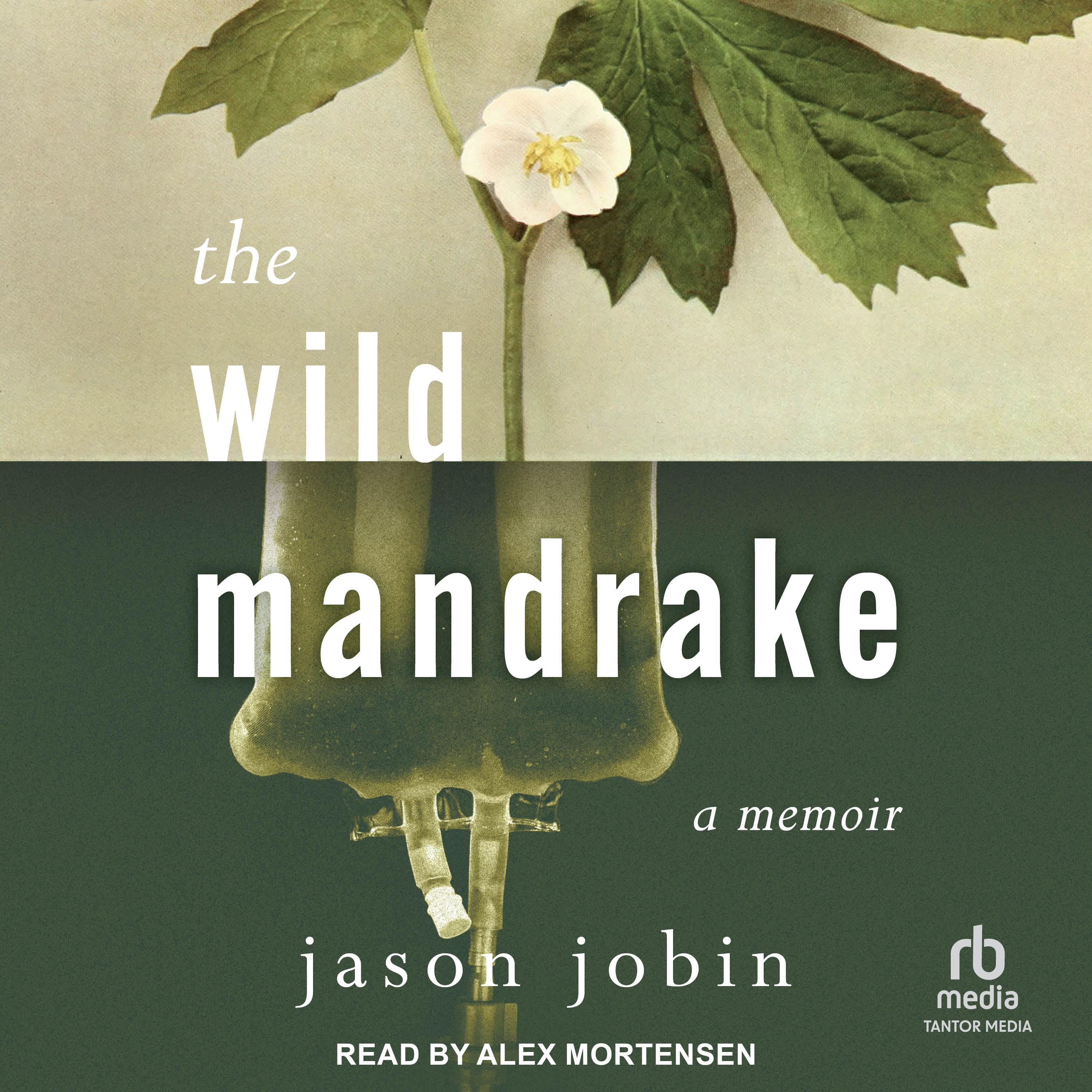 The Wild Mandrake Audiobook by Jason Jobin — Listen Instantly
