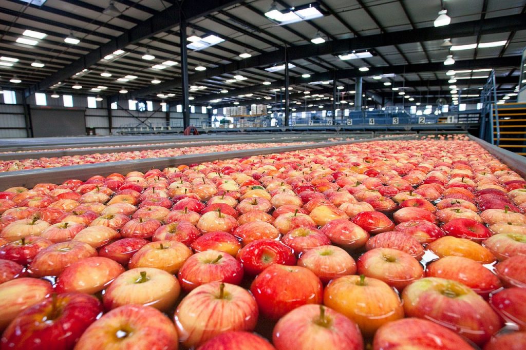 Tree Fruit Postharvest Export Education | Washington State University