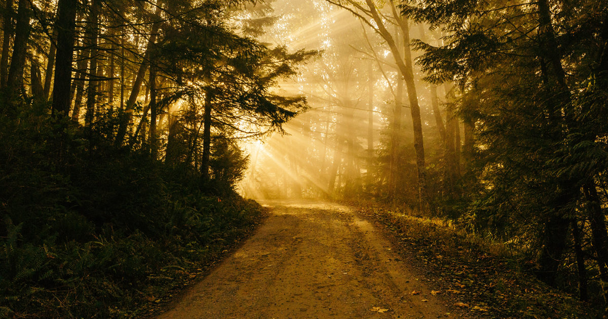 Finding your path during transitions - TherapyDen