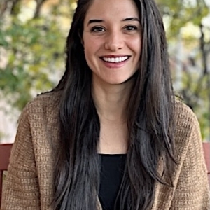 Christine Lekas, LPC.0019342 - TherapyDen