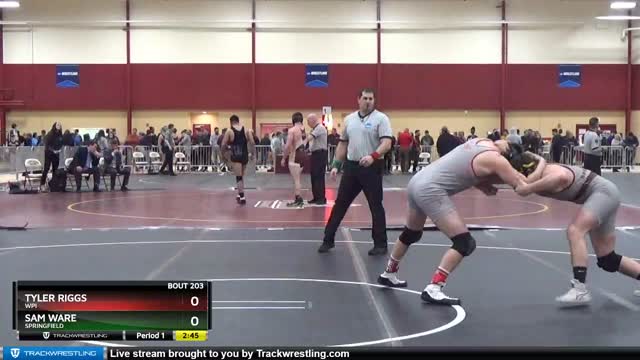 Tyler Riggs (WPI) vs Sam Ware (Springfield)