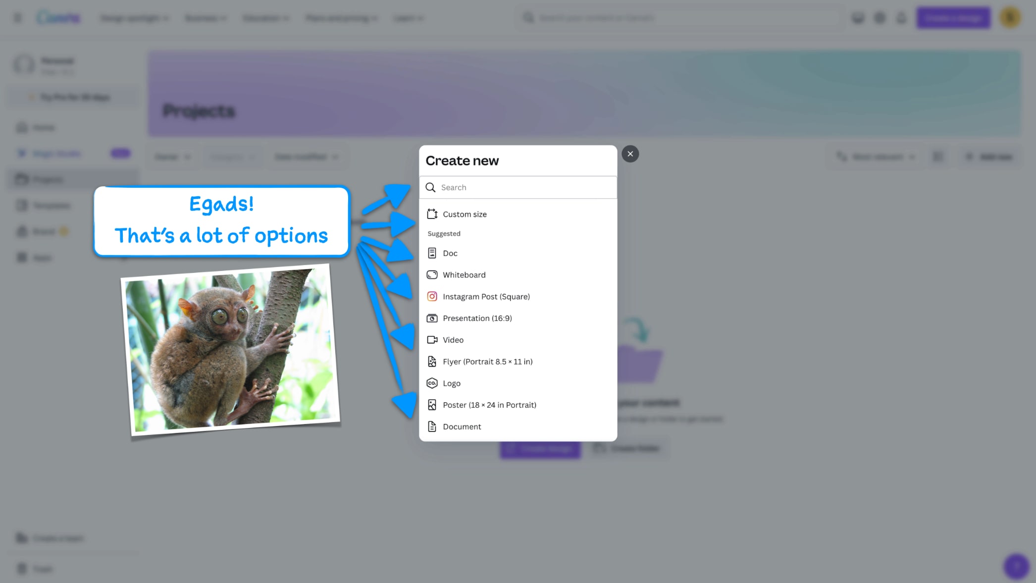 How Canva Activates Users | User Onboarding