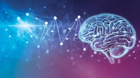 Epilepsy | Peter O'Donnell Jr. Brain Institute | Condition | UT ...