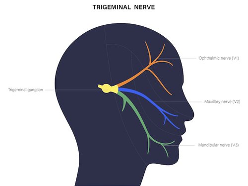 What's causing ‘electric’ facial pain? It might be trigeminal nerve ...