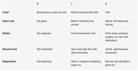 What does your baby’s Apgar score mean? | Your Pregnancy Matters | UT ...