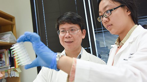 Dr. Zhijian 'James' Chen: Unlocking the Immune System | Discovery | UT ...