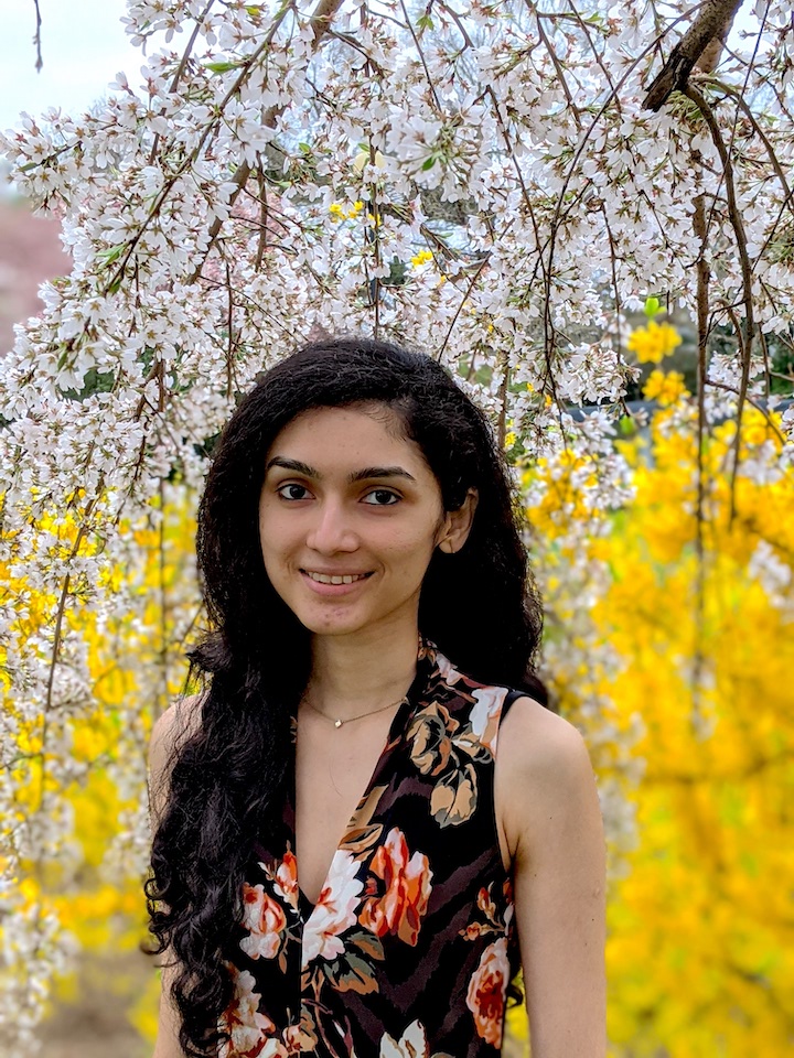 Meet the Organizers of the COVID-19 Hackathon | Data Science Masters