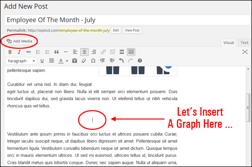 Wordpress Tutorials Create Graphs In A Page Or Post In Wordpress With 1940
