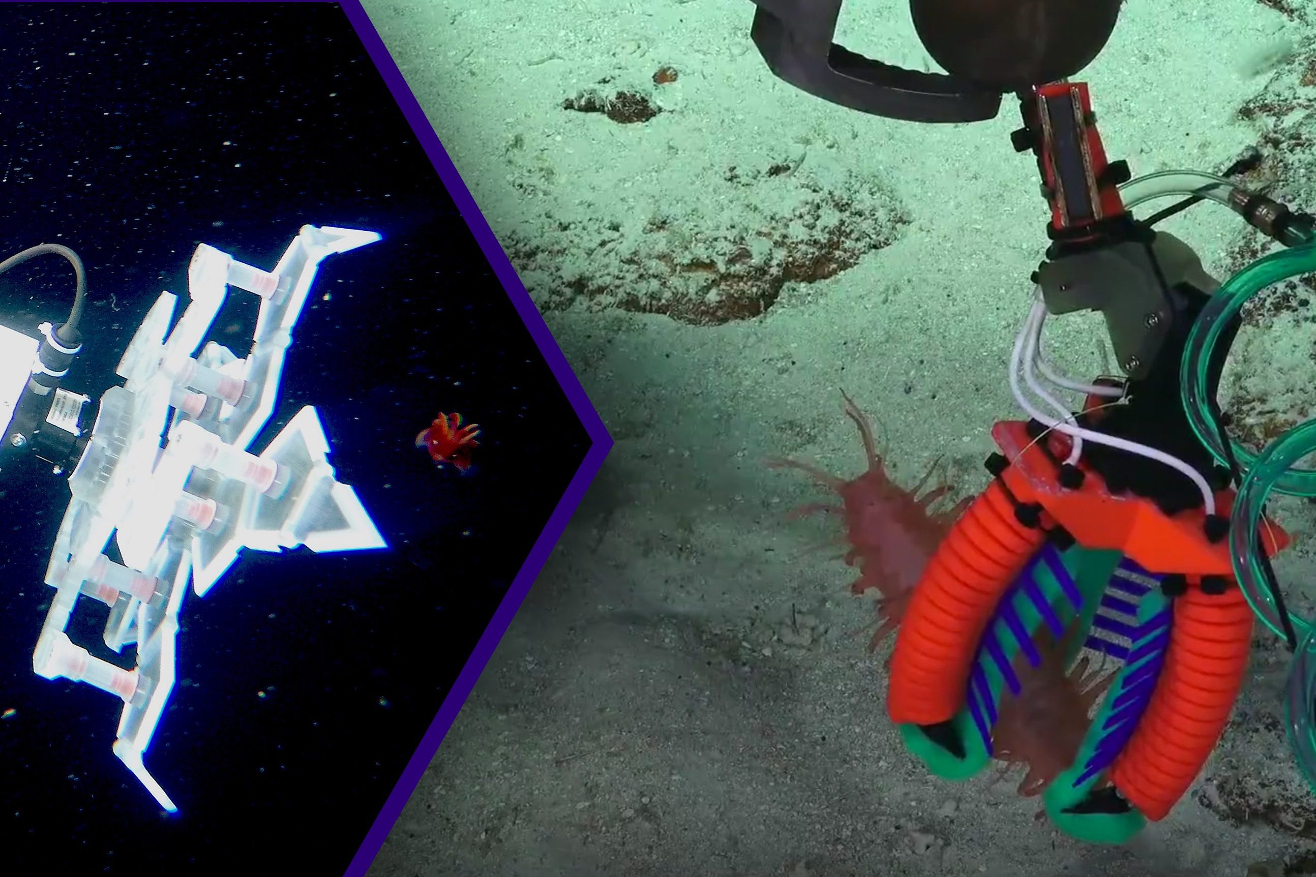 Disruptive: Soft Robotics for Deep Sea Exploration